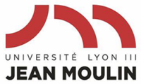 CLESID, Université Lyon 3, fac de droit - TDFCyber